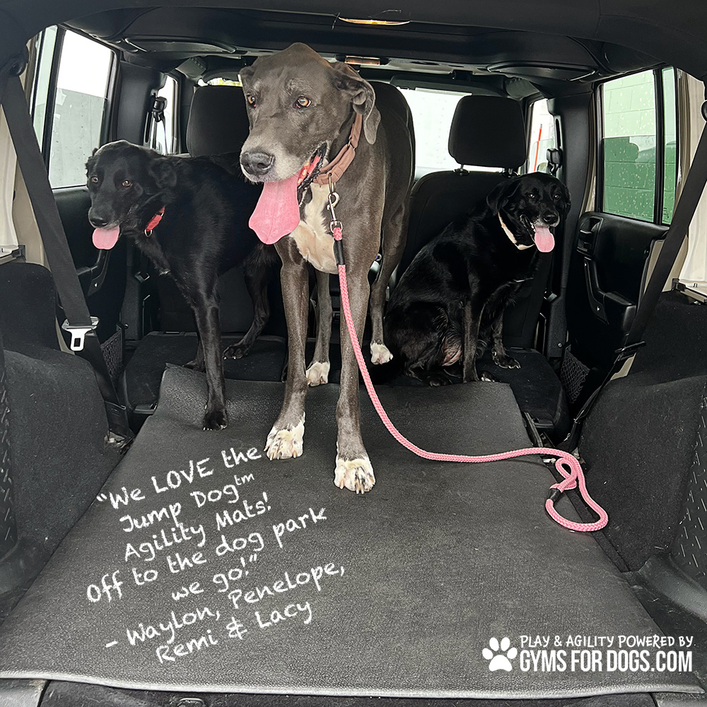 Agility Mat – Garage Pet Mat - Animal Wellness Depot