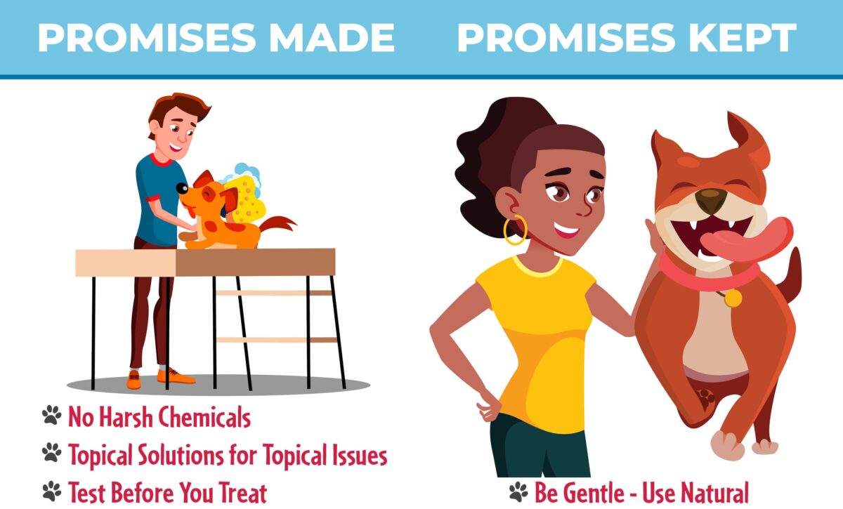 Pet Wellness Tips - Animal Wellness Depot